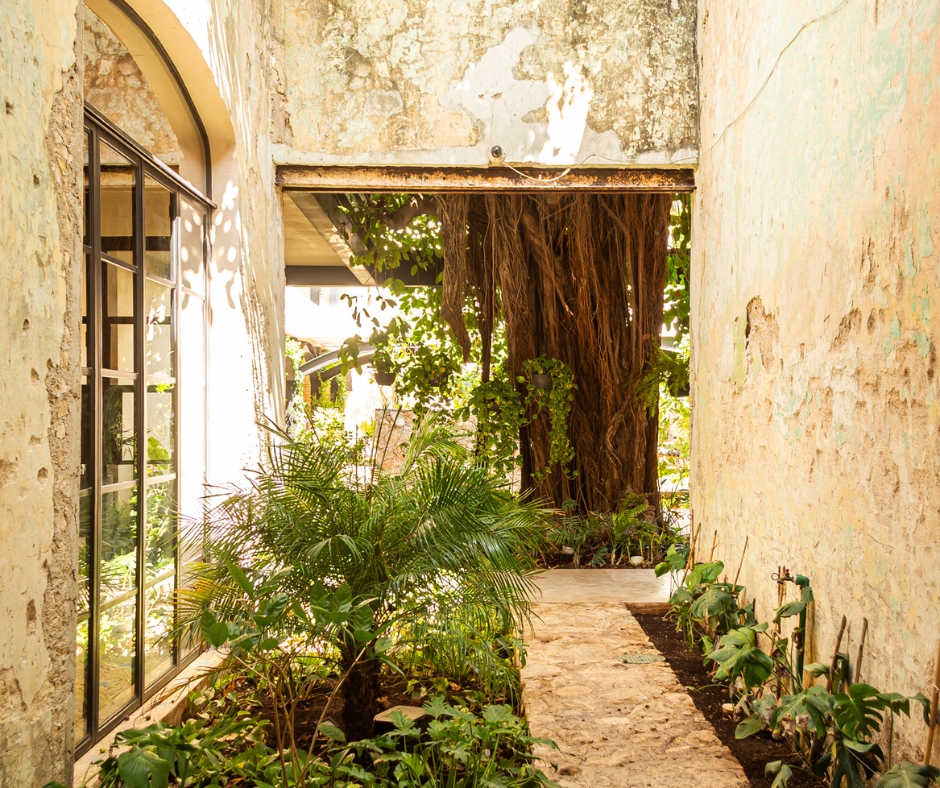Adoro Hotel Boutique - Web Oficial